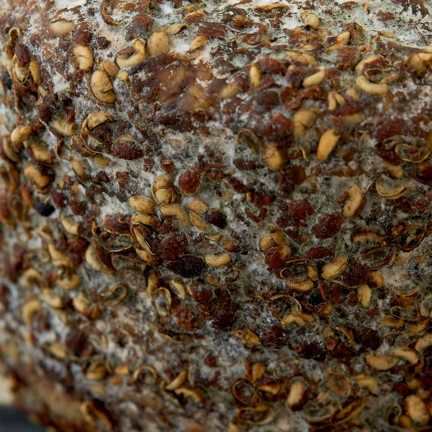 Murray's Cave Aged Limited Szechuan Sheep | Murray's Cheese