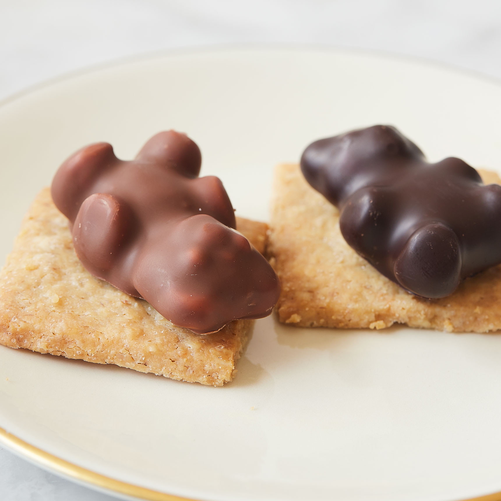 Le Chocolat des Français Teddy Bear Marshmallow Tin | Murray's Cheese