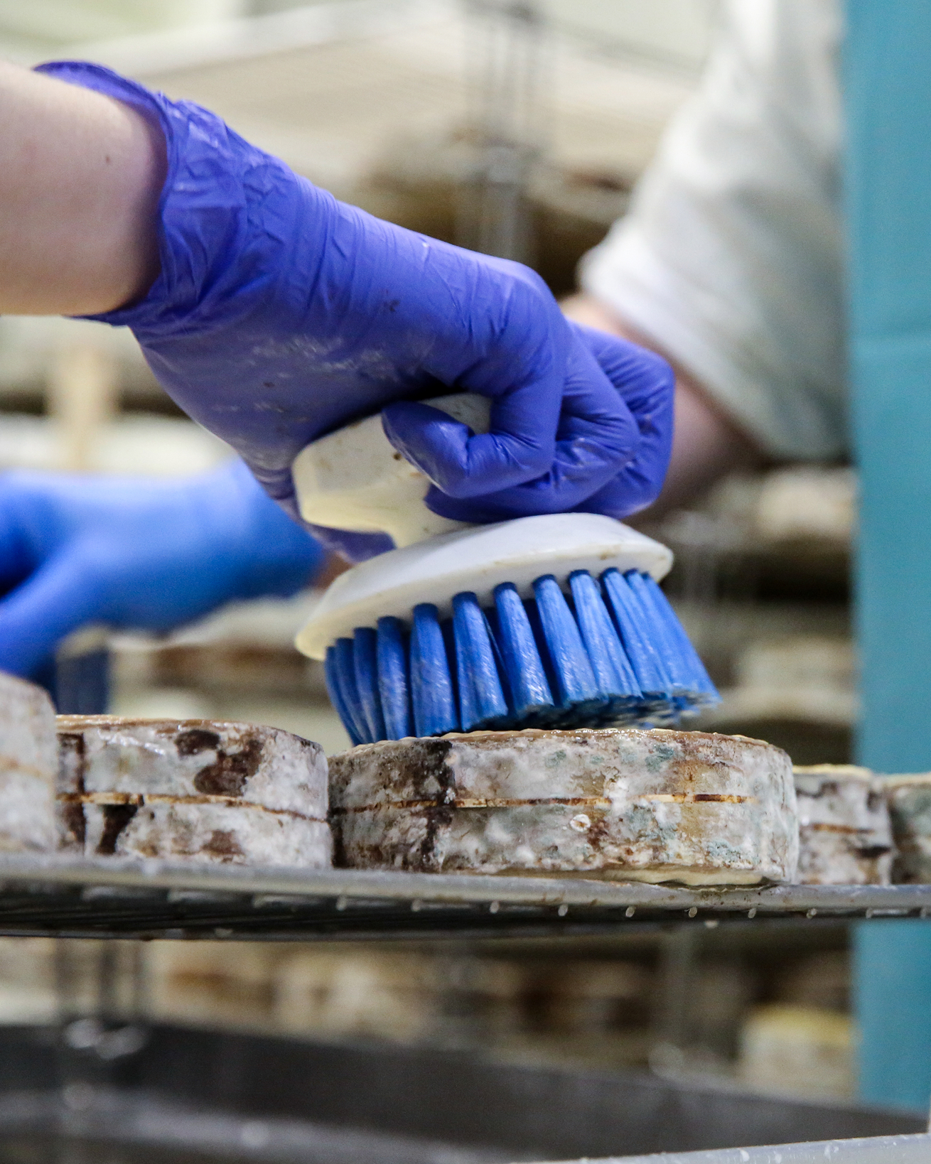 Embrace the Funk: A Guide to Stinky Cheese | Murray's Cheese