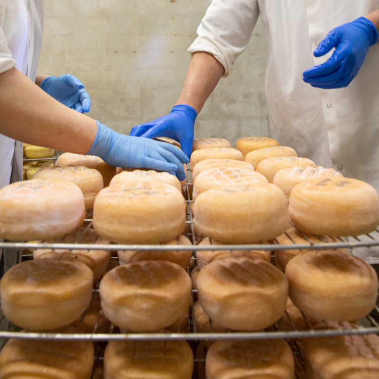 Murray's Cheese Cave Experiences | Murray's Cheese