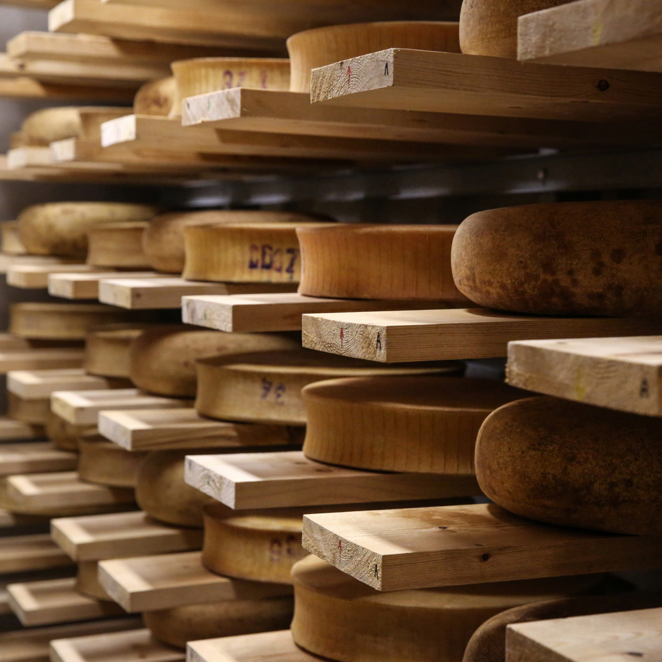 Shop All Cheese | Murray's Cheese