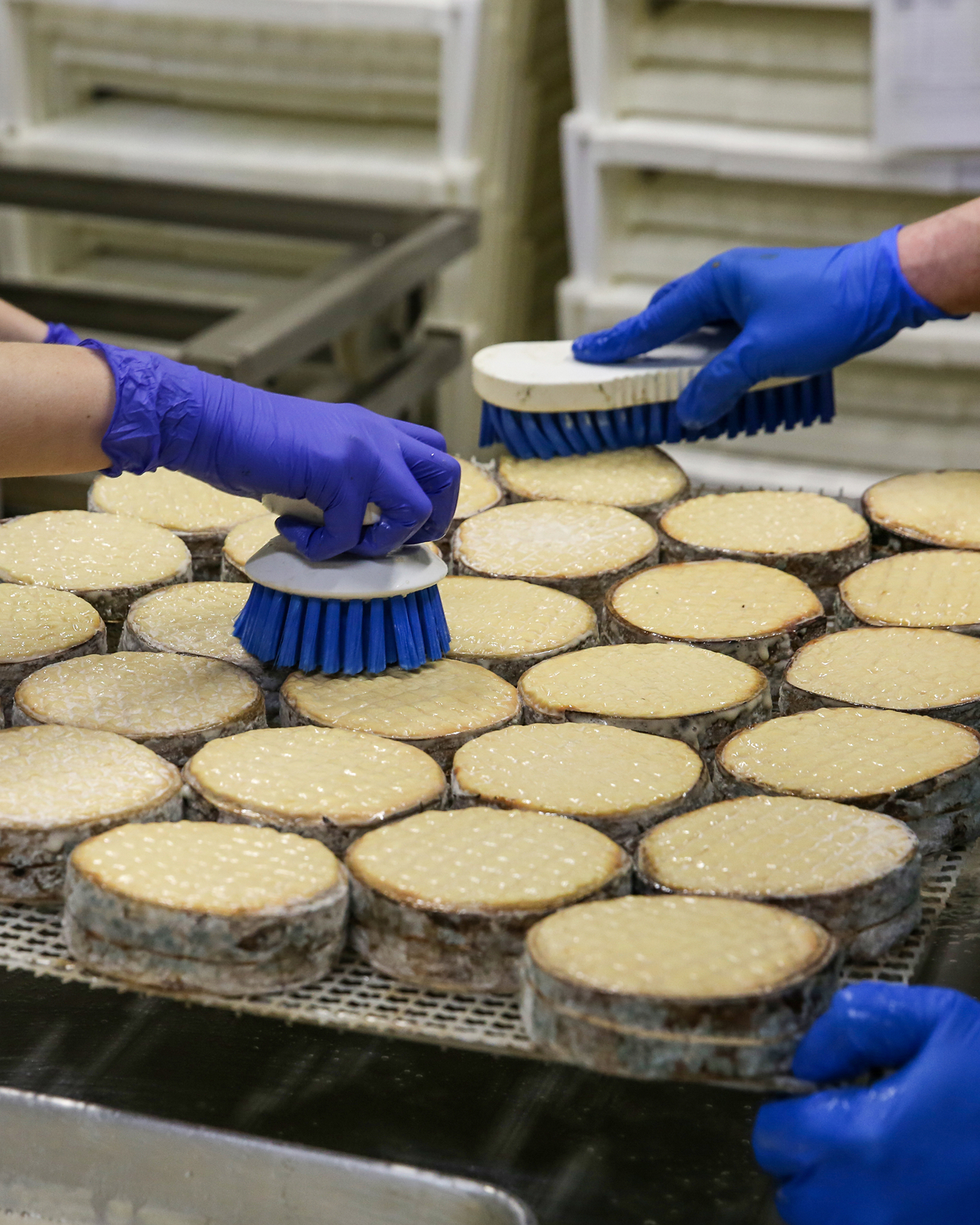 Embrace the Funk: A Guide to Stinky Cheese | Murray's Cheese